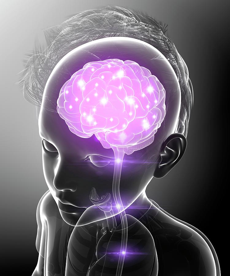 Human Brain Activity #4 Photograph by Science Photo Library - Fine Art ...