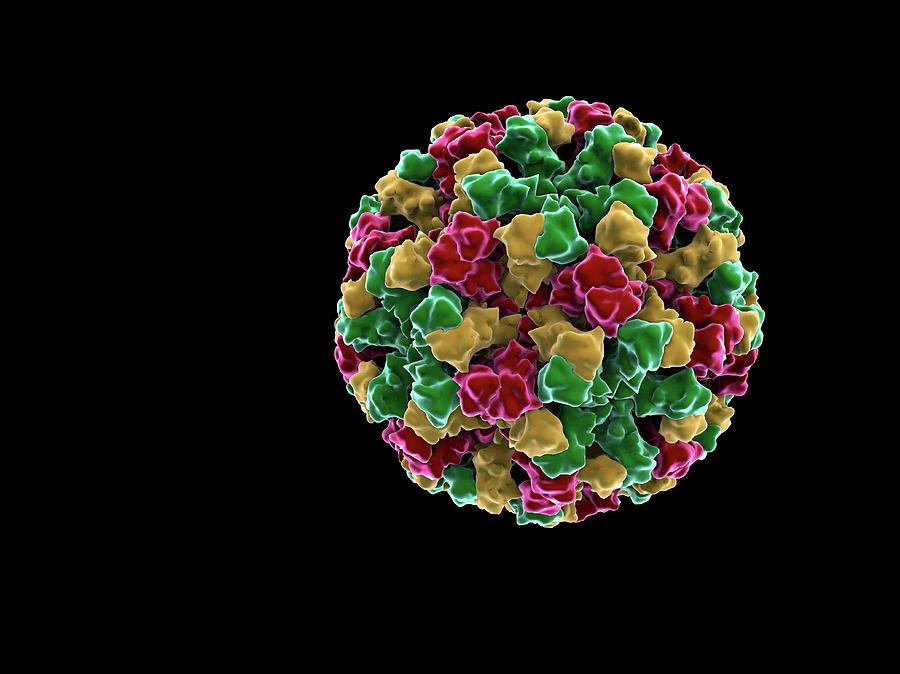 Norovirus Particles #4 Photograph by Sci-comm Studios - Fine Art America