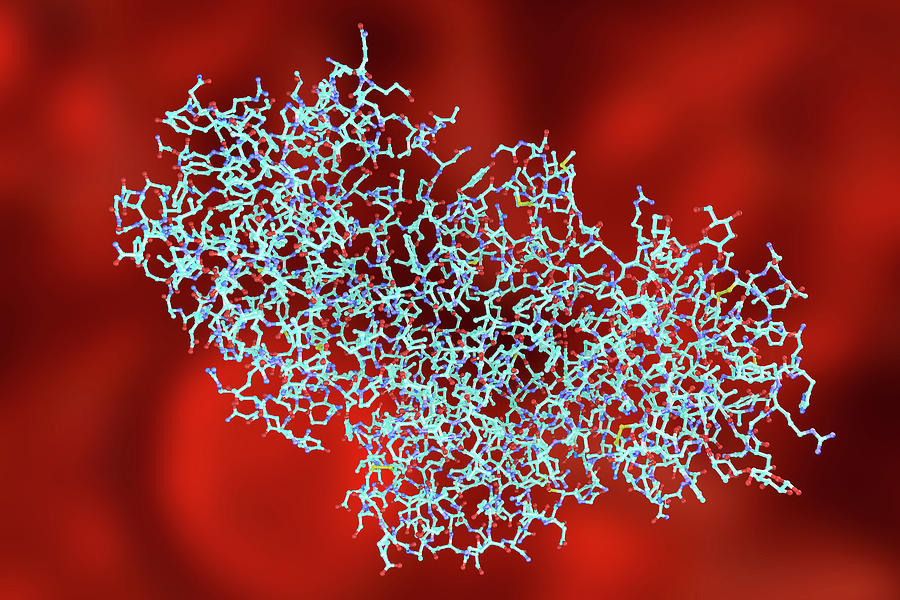 Ricin Molecule #4 by Science Photo Library
