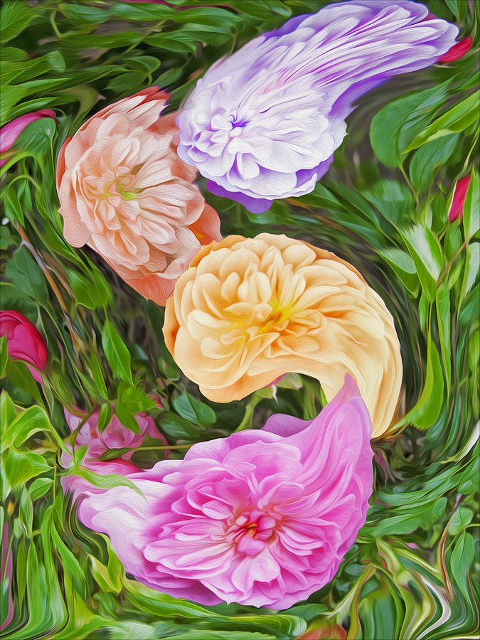 4-Rose Dance Photograph by Peter Matt - Fine Art America