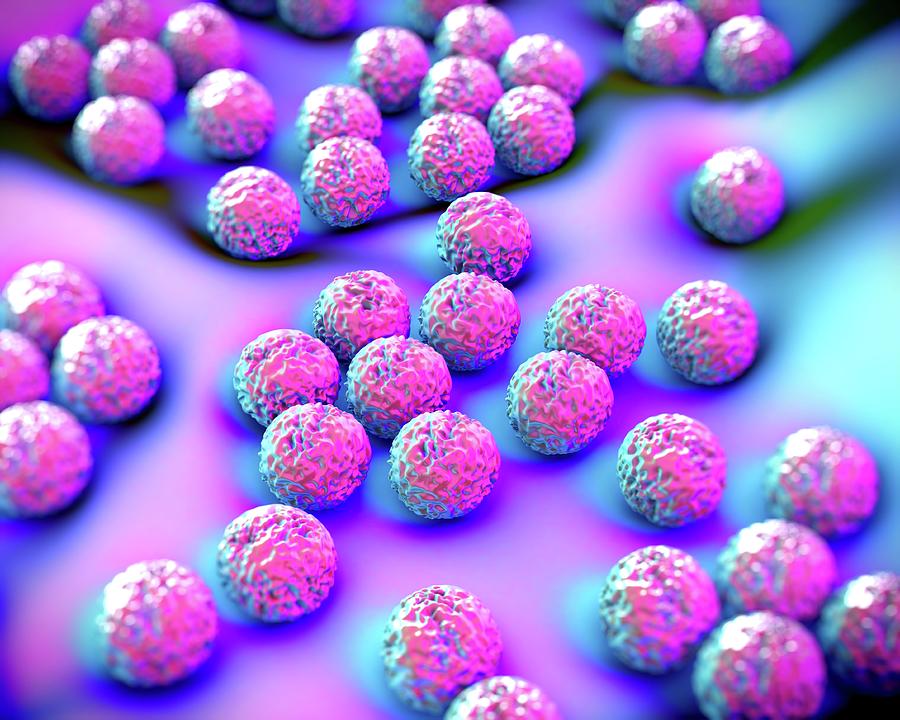 Superbug Bacteria Photograph by Science Artwork - Fine Art America