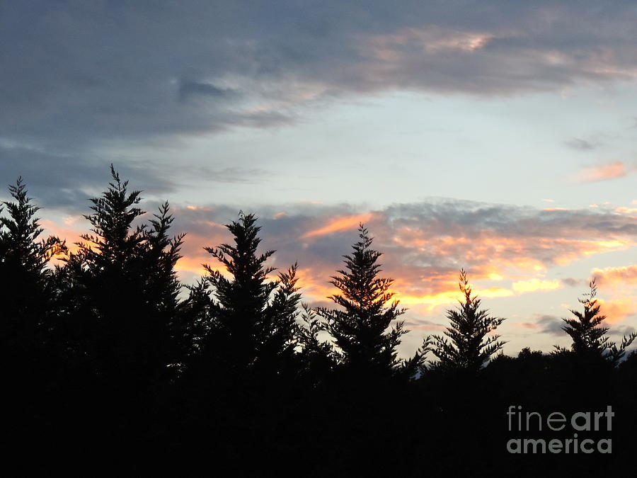 Sunset Pyrography by Frank Conrad - Fine Art America