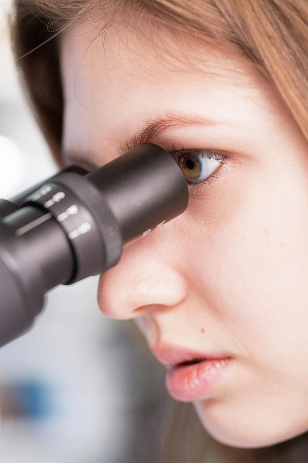 Lab Technician Using Microscope Photograph by Wladimir Bulgar/science ...