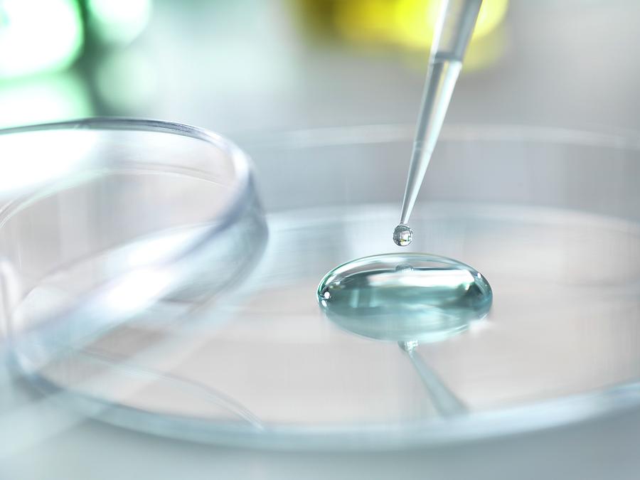 Laboratory Experiment #5 by Tek Image / Science Photo Library