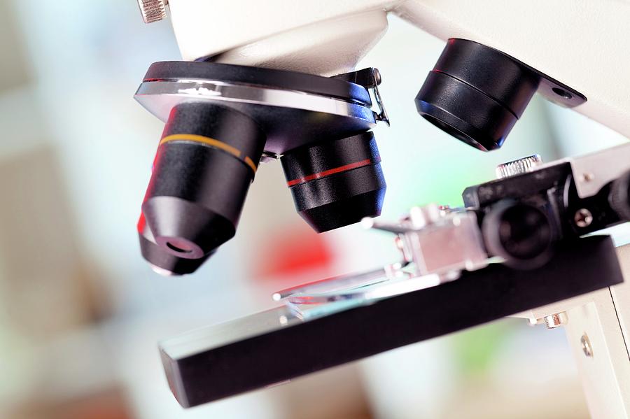 Light Microscope Photograph by Wladimir Bulgar/science Photo Library ...