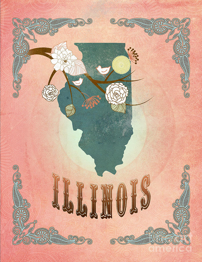 Modern Vintage Illinois State Map Digital Art by Joy House Studio - Pixels