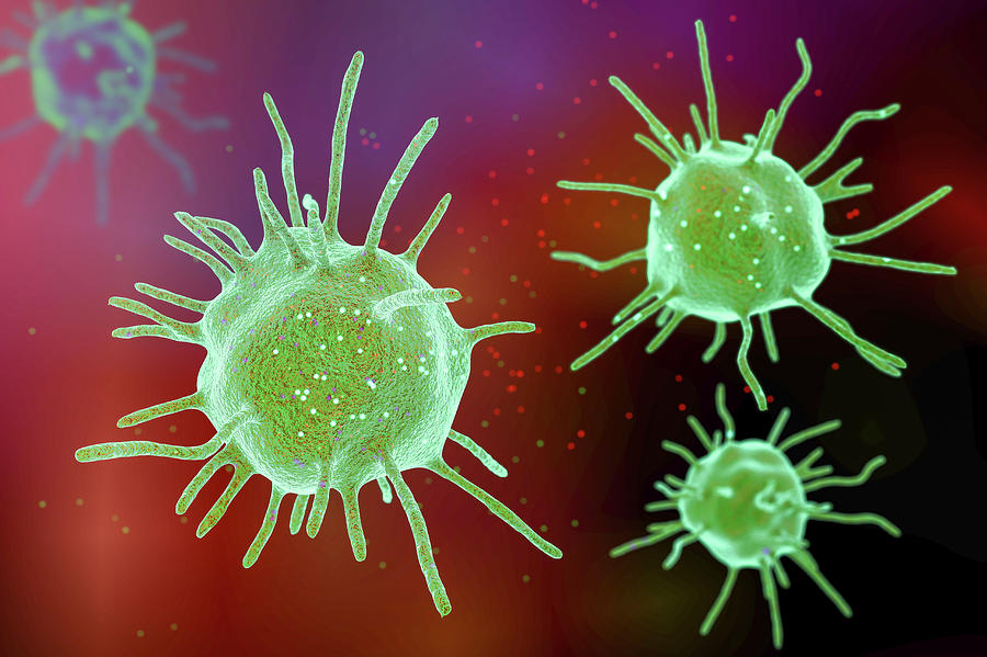 Parasitic Microorganisms Photograph by Kateryna Kon/science Photo ...