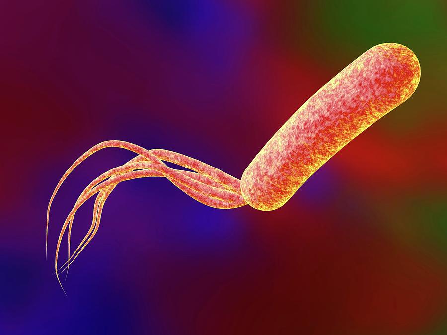 Pseudomonas Bacteria Photograph by Kateryna Kon - Fine Art America Pseudomonas Bacteria Photograph by Kateryna Kon - Fine Art America