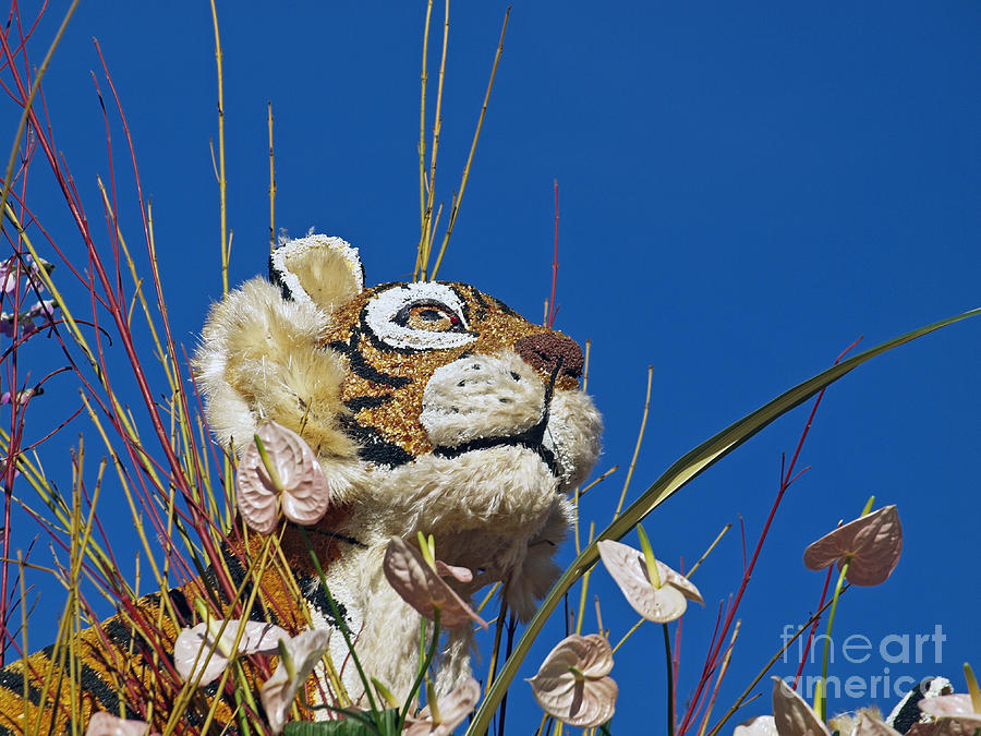 Rose Parade Photograph by Howard Stapleton - Fine Art America