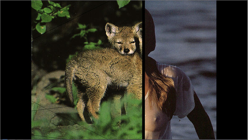 5.1 Digital Art by Eric Scrivner - Fine Art America