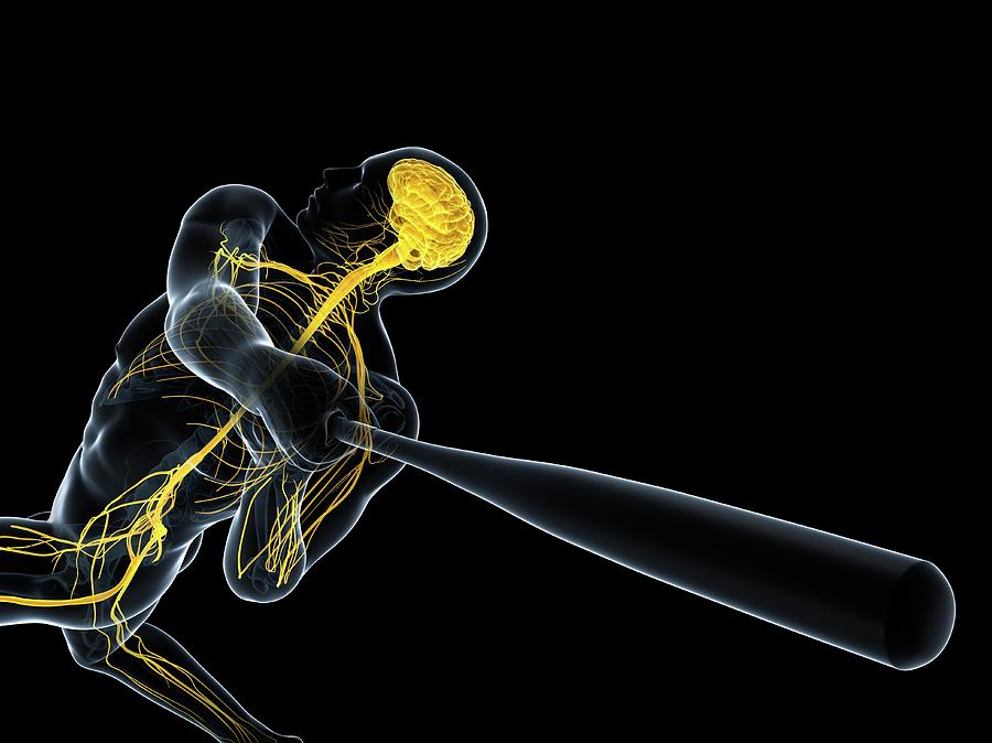 Baseball Player #6 by Science Photo Library