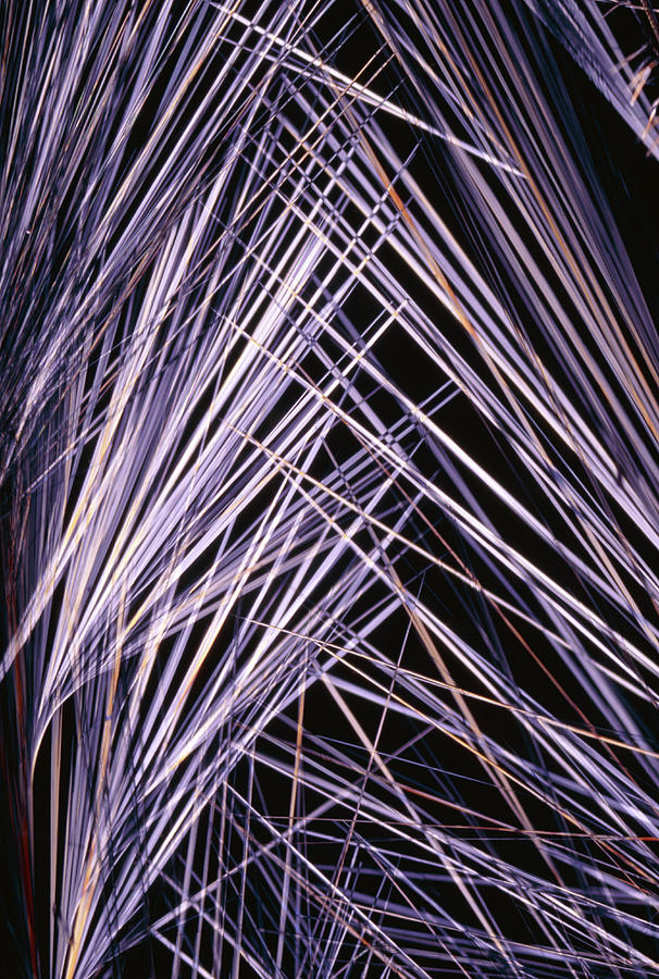 Plm Of Crystals Of Cholesterol Photograph by Sidney Moulds/science ...