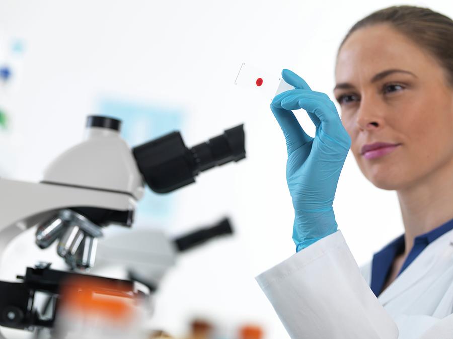 Scientist With Microscope Slide #6 by Science Photo Library
