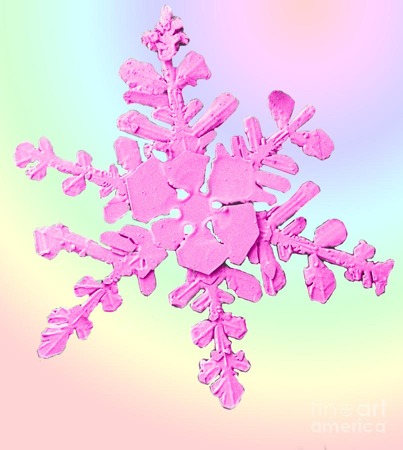 Snow Crystal Lt-sem Photograph by Science Source - Fine Art America