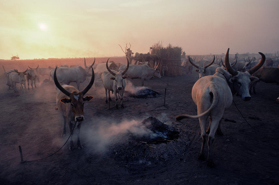 Untitled 6 Photograph by Robert Caputo - Fine Art America