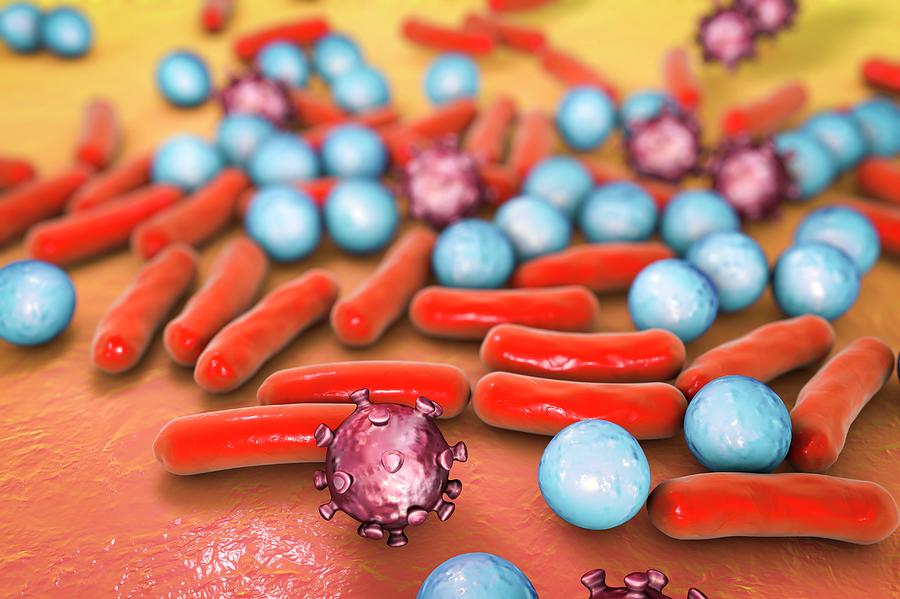 Various Microbes #6 by Science Photo Library