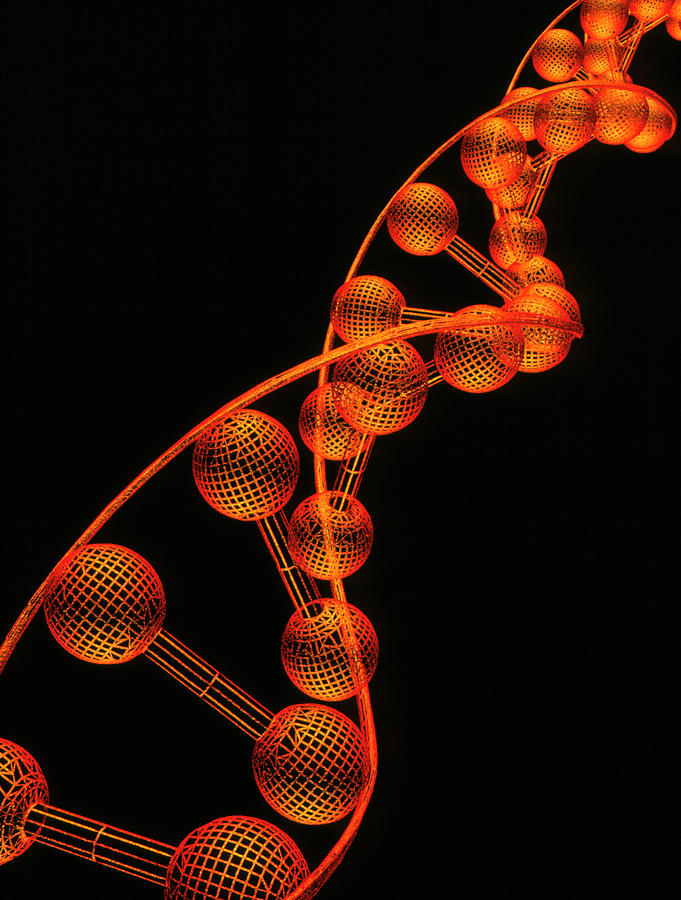 Dna Molecule #7 by Science Photo Library
