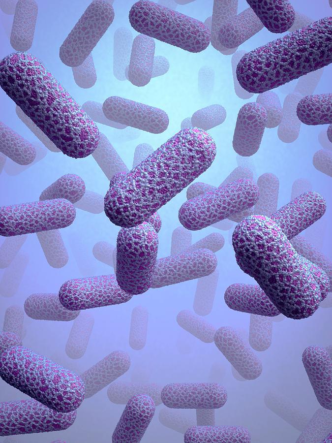 E. Coli Bacteria Photograph by Maurizio De Angelis