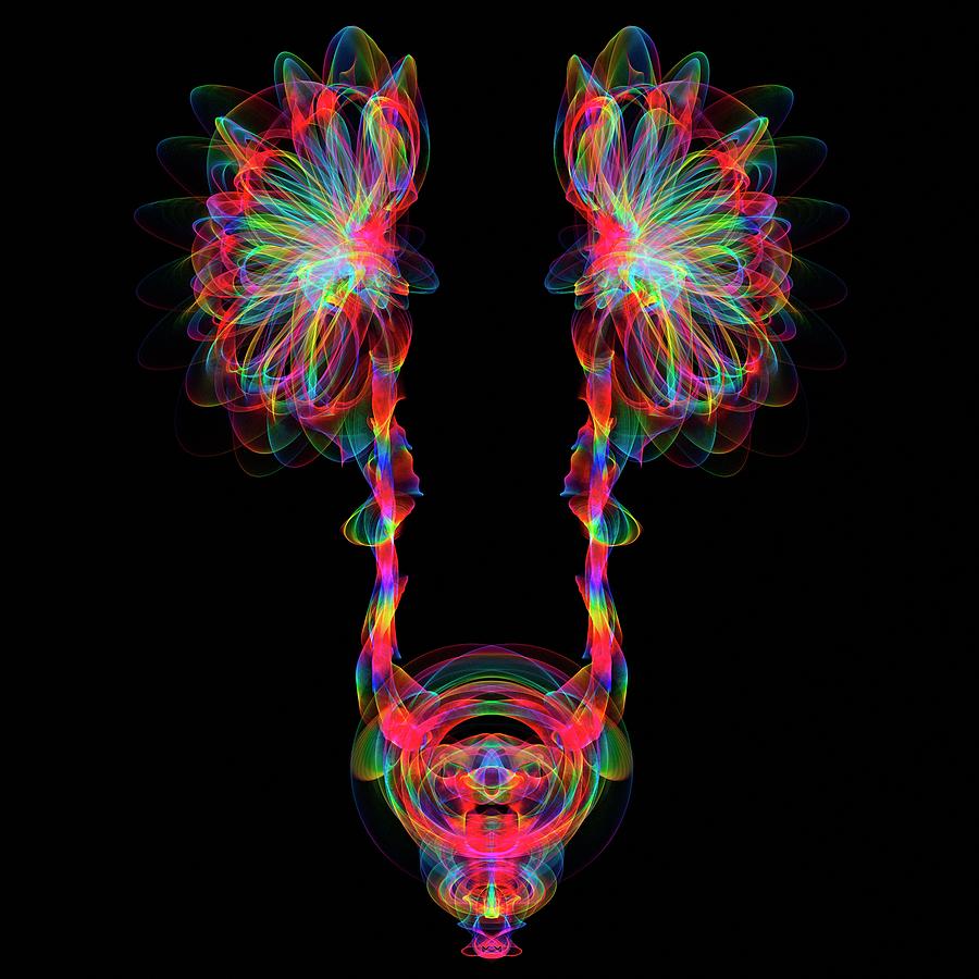 Human Urinary System #7 Photograph by Mehau Kulyk/science Photo Library ...