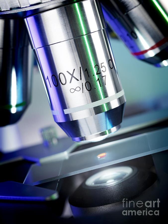 Light Microscopy #7 by Science Photo Library