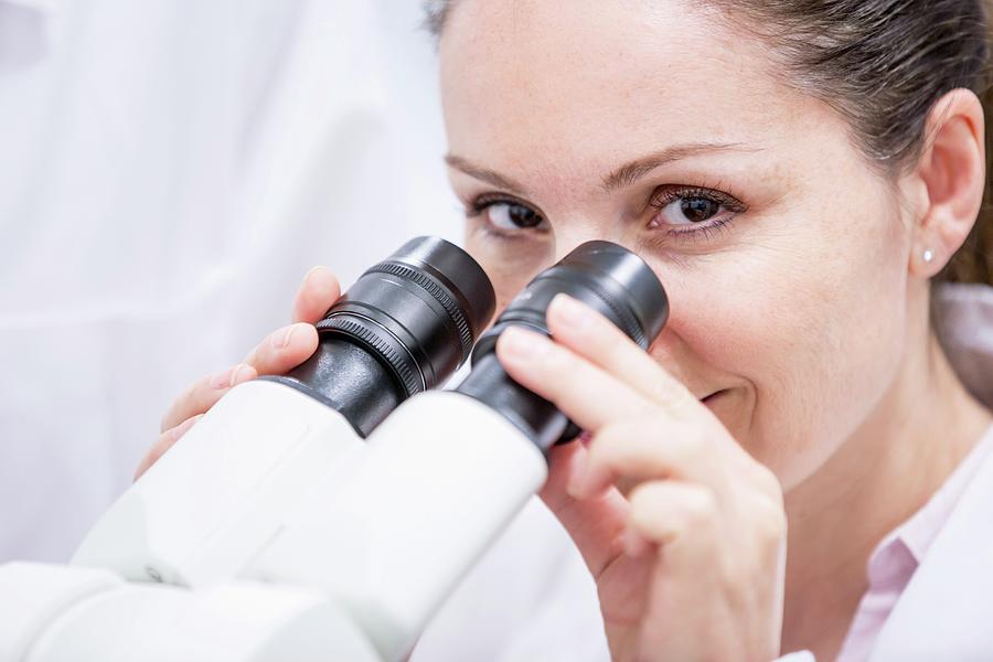 Scientist Using Microscope Photograph by Science Photo Library - Fine ...