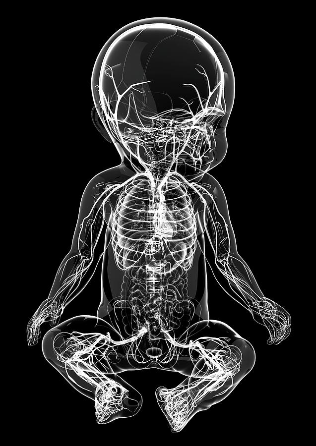 Baby's Nervous System #73 by Science Photo Library