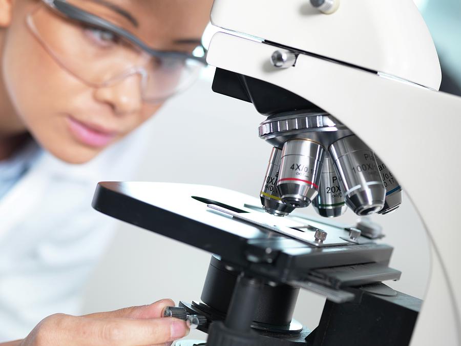 Clinical Testing Photograph by Tek Image/science Photo Library - Fine ...