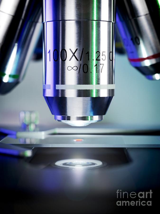 Light Microscopy Photograph by Tek Image | Fine Art America