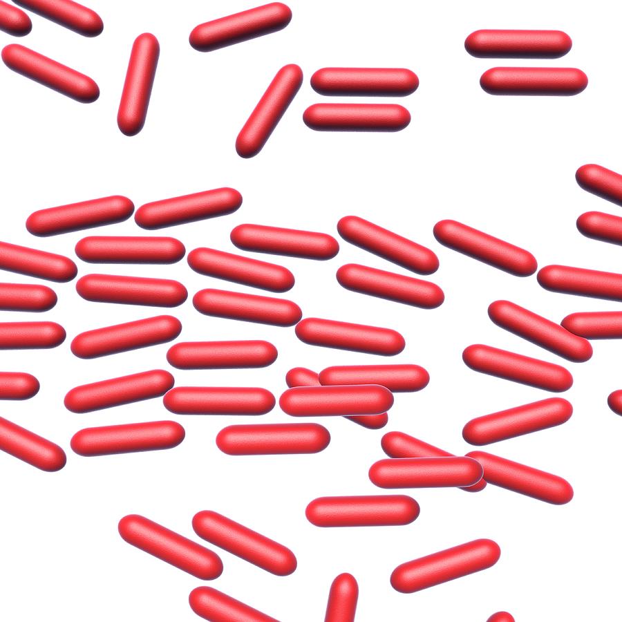 Bacteria Photograph by Pixologicstudio/science Photo Library - Pixels