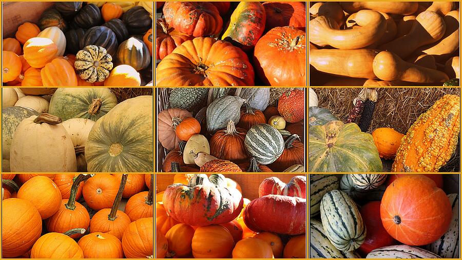 A Bountiful Harvest Photograph by Dora Sofia Caputo - Pixels