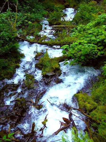 A Cascading Spring Photograph by Blake Jamison - Fine Art America