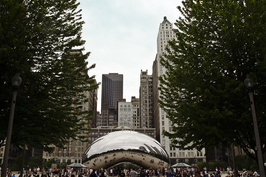A Cloud Between The Trees Photograph by Gerald Andersen - Fine Art America