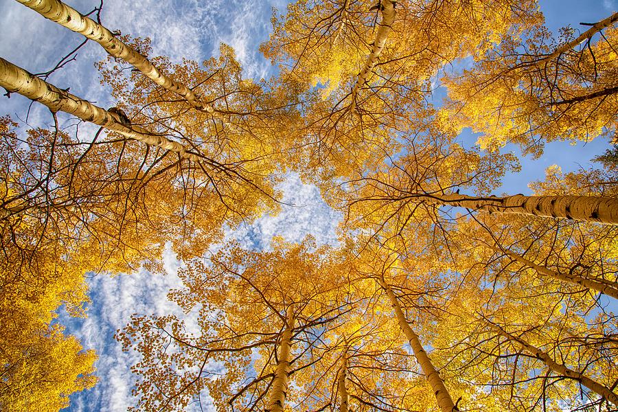 A Different Angle Photograph by Mitch Johanson - Fine Art America