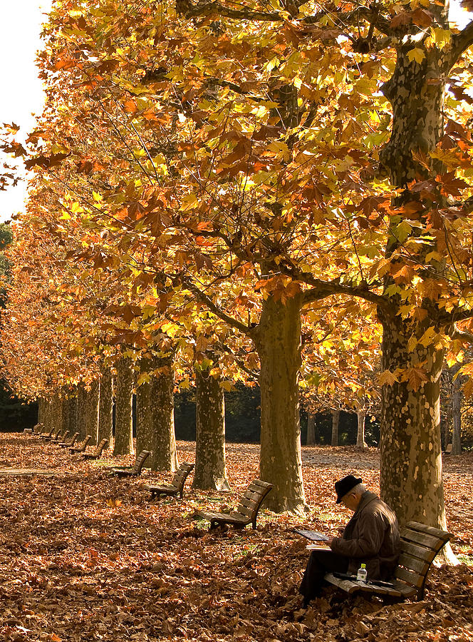 A Falling Affinity Photograph by Aaron Bedell - Pixels