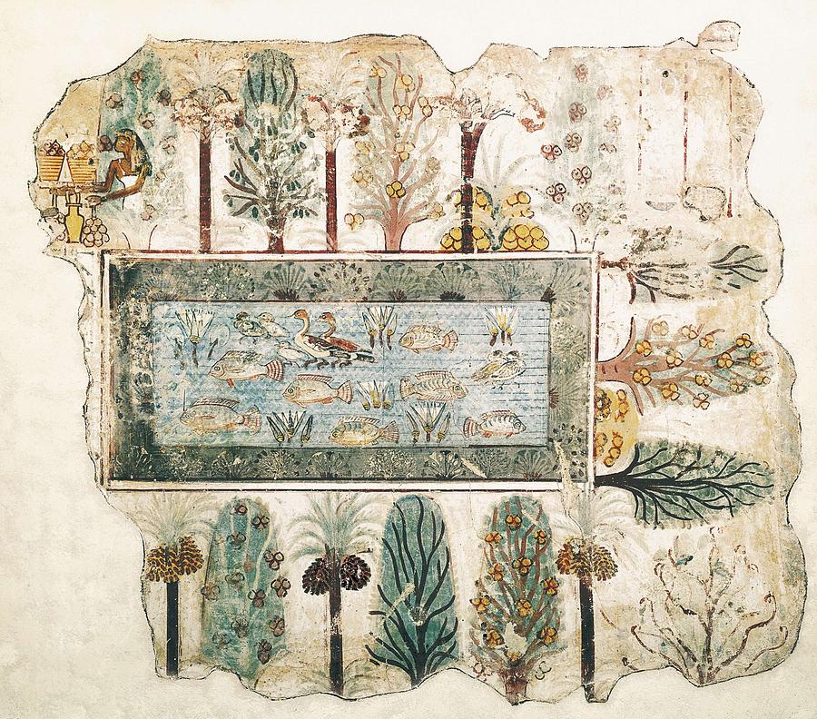 A Garden Pool. Ca. 1350 Bc. 18th Photograph by Everett - Fine Art America