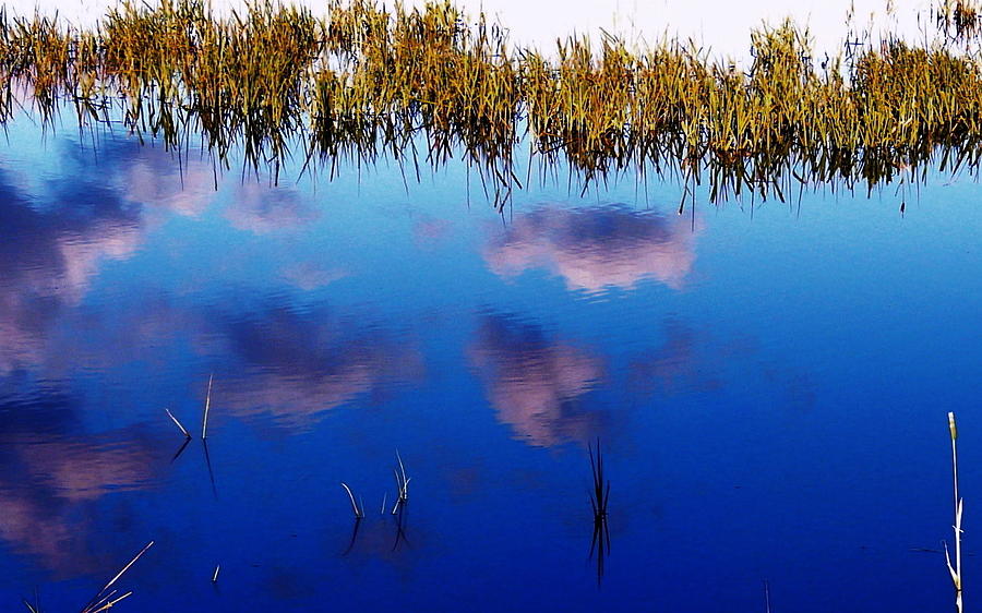 A Photograph by Greg Pluth - Fine Art America