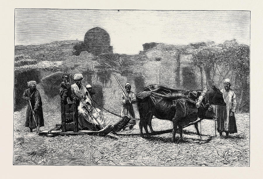 A Native Chaff-cutting Machine Drawing by Egyptian School - Pixels