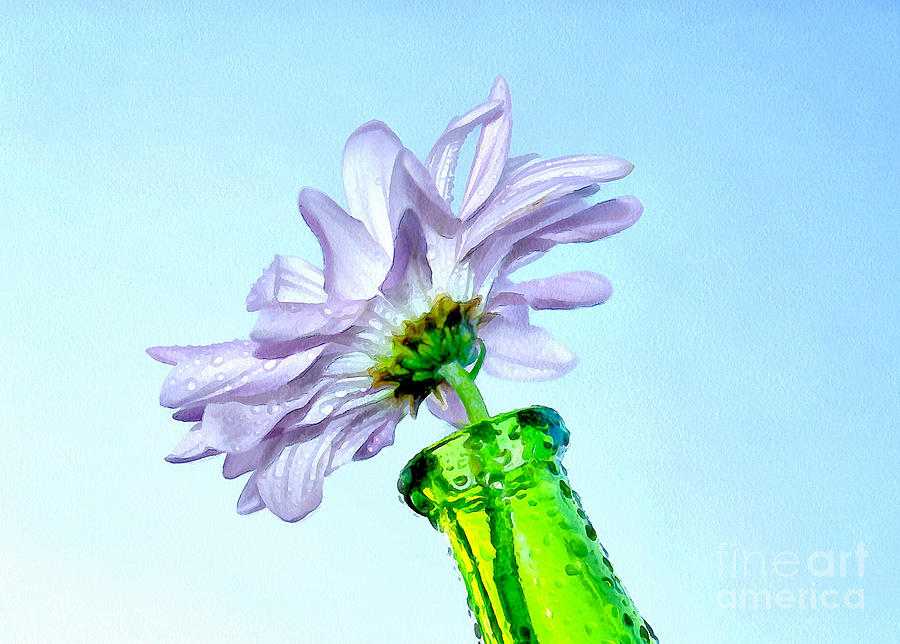 A New Day Has Begun Photograph By Krissy Katsimbras Fine Art America
