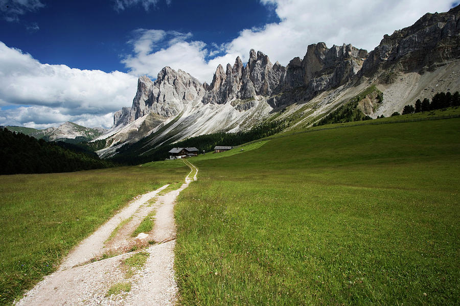 A Path Through A Meadow Photograph by Mario Colonel - Fine Art America