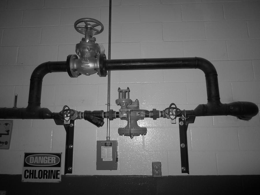 A Pipe Dream Photograph by Robert Loe - Fine Art America