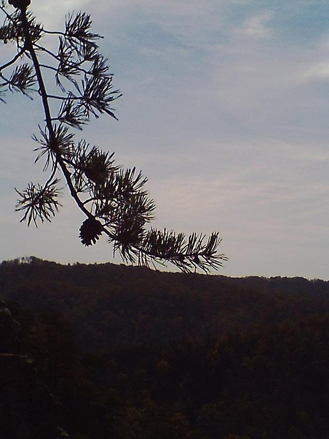 A Shadow View Photograph by Ashley Jump - Fine Art America