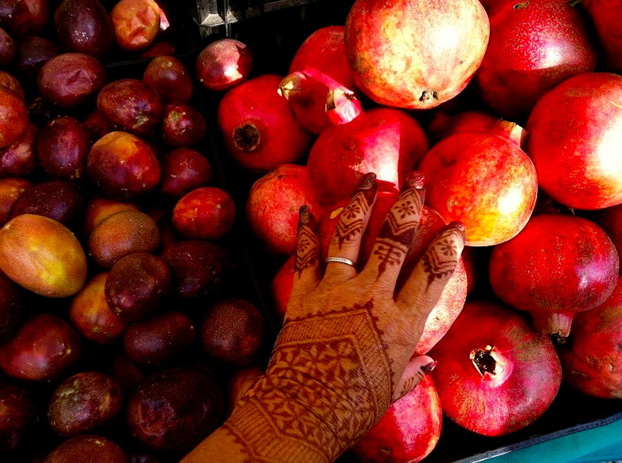 A Study in Red Photograph by Nancy Tedder - Pixels