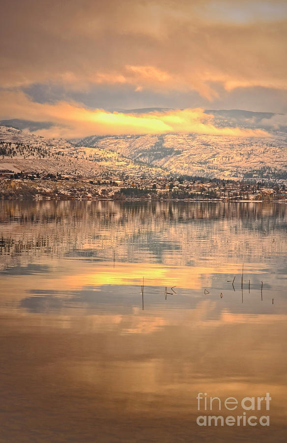 A Subtle Winter Photograph by Tara Turner | Fine Art America