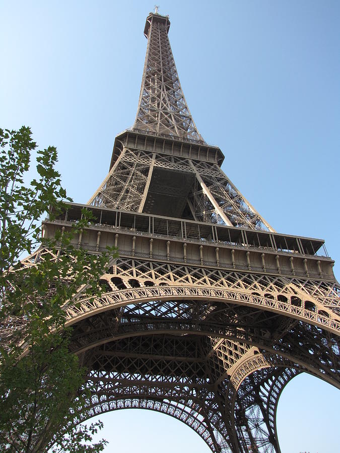 A View from Below Photograph by Dan Piazza - Fine Art America