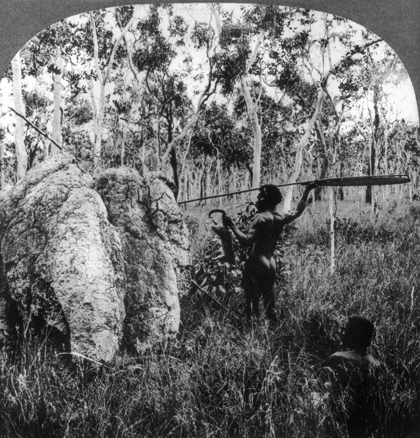Aboriginal Hunters, C1919 Painting by Granger - Fine Art America
