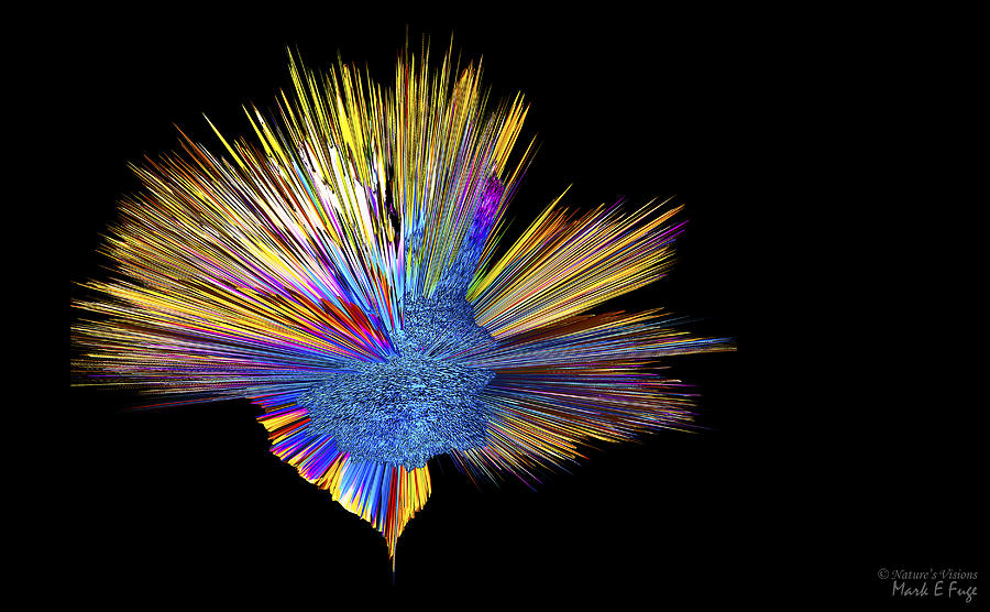 Abstract #140813 - Exploding Star Digital Art by Mark Fuge | Fine Art ...