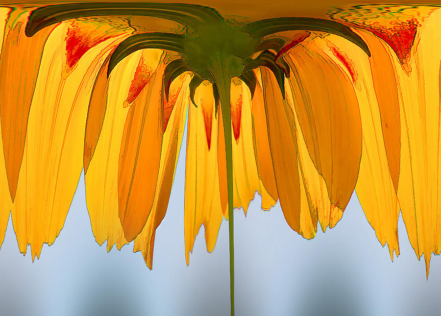 Abstract Cosmo Photograph by Sharon Moore - Fine Art America