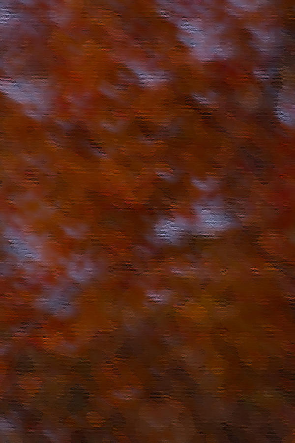 Abstract fall colors Photograph by Haren Images- Kriss Haren - Fine Art ...