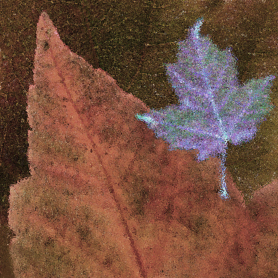 Abstract leaf Photograph by David J Plank - Pixels