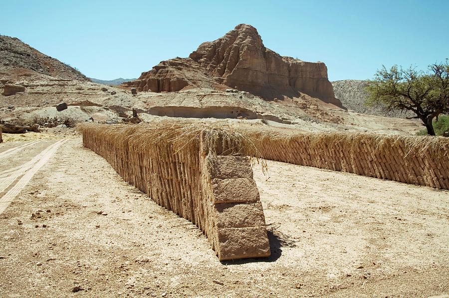 Adobe Bricks Drying Photograph by Steve Percival/science Photo Library ...